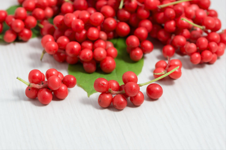 Benefits of Schizandra – HerbWorks