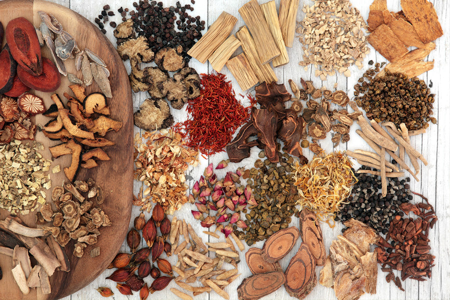 The Importance of Jing in Chinese Herbalism – HerbWorks
